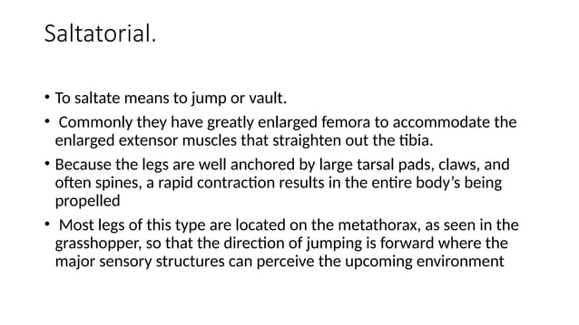 Different Types of Leg Structures in Insects | PPTX | Sports