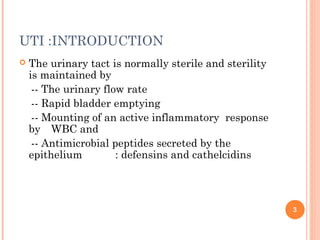 27 uti by mersha | PPT