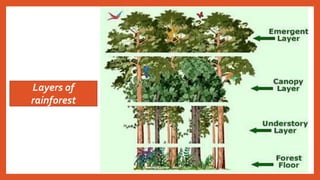 27what are the characteristics of different biomes and aquatic ...