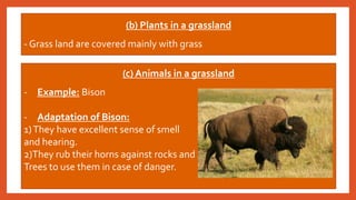 27what are the characteristics of different biomes and aquatic ...