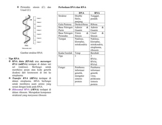 SUBSTANSI GENETIKA BIOLOGI | PDF