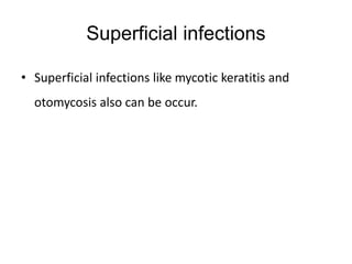 28. oppertunistic mycotic infections | PPTX
