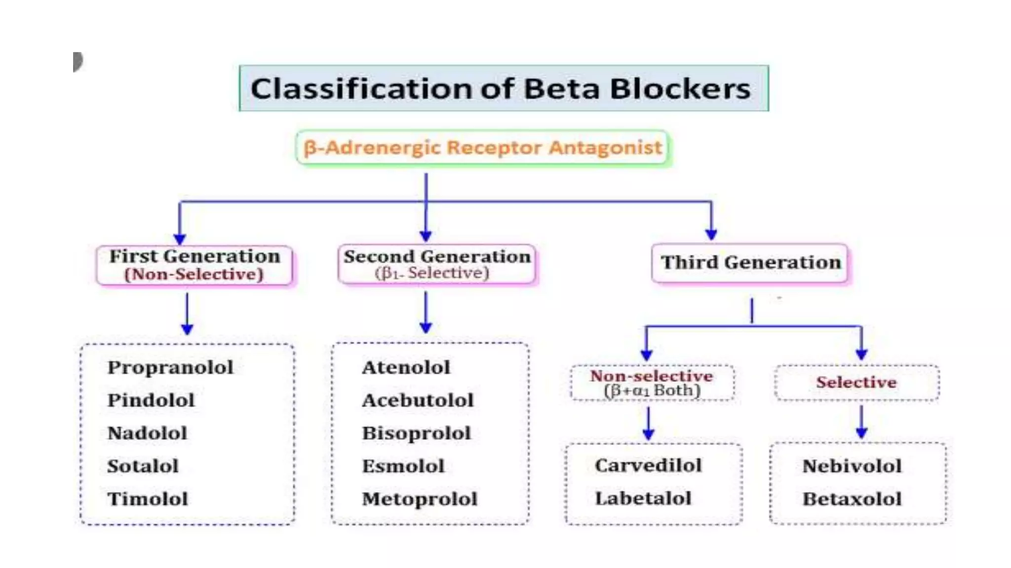 Adrenergic Antagonist (Blockers) | PPTX