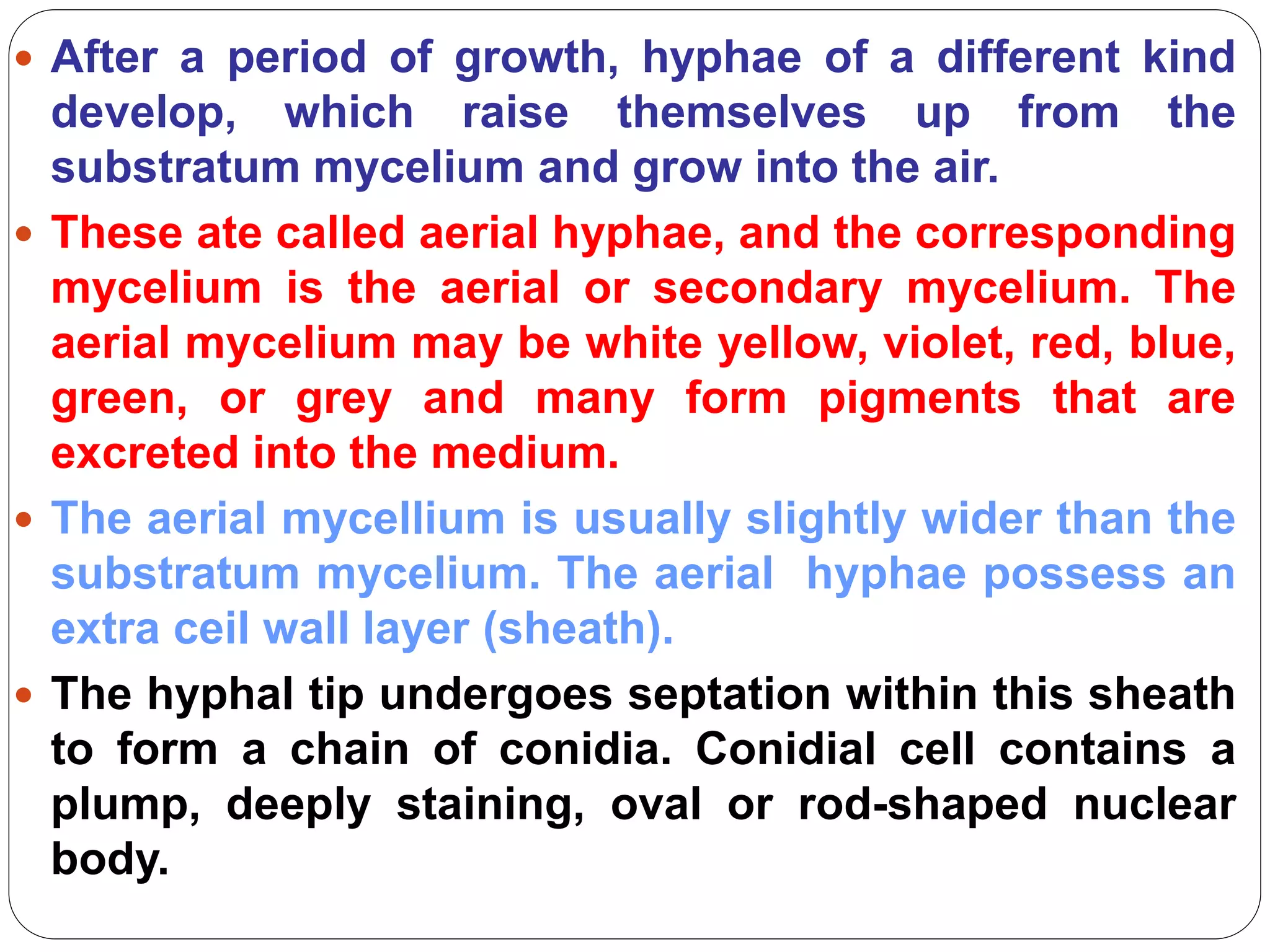 Mycoplasma & actinomycetes | PPT