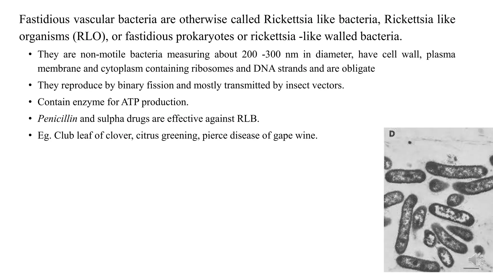 Fastidious vascular bacteria (FVB) | PPTX