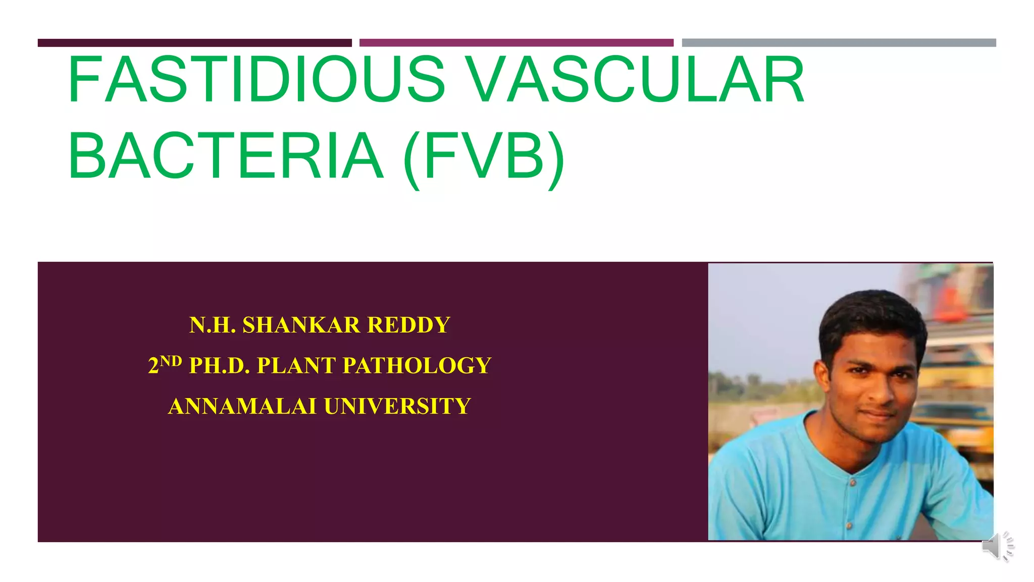 Fastidious vascular bacteria (FVB) | PPTX