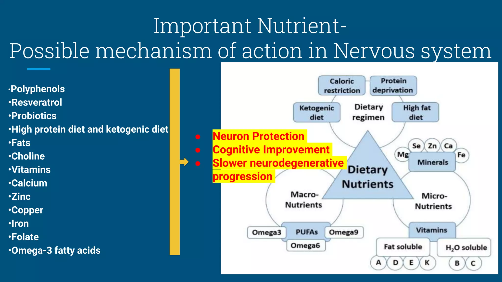28.10.21 Nutrition for Neuron- An Ayurvedic Approach.pptx