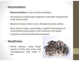 28. Applied Mycology.pdf