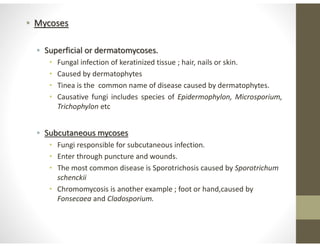 28. Applied Mycology.pdf