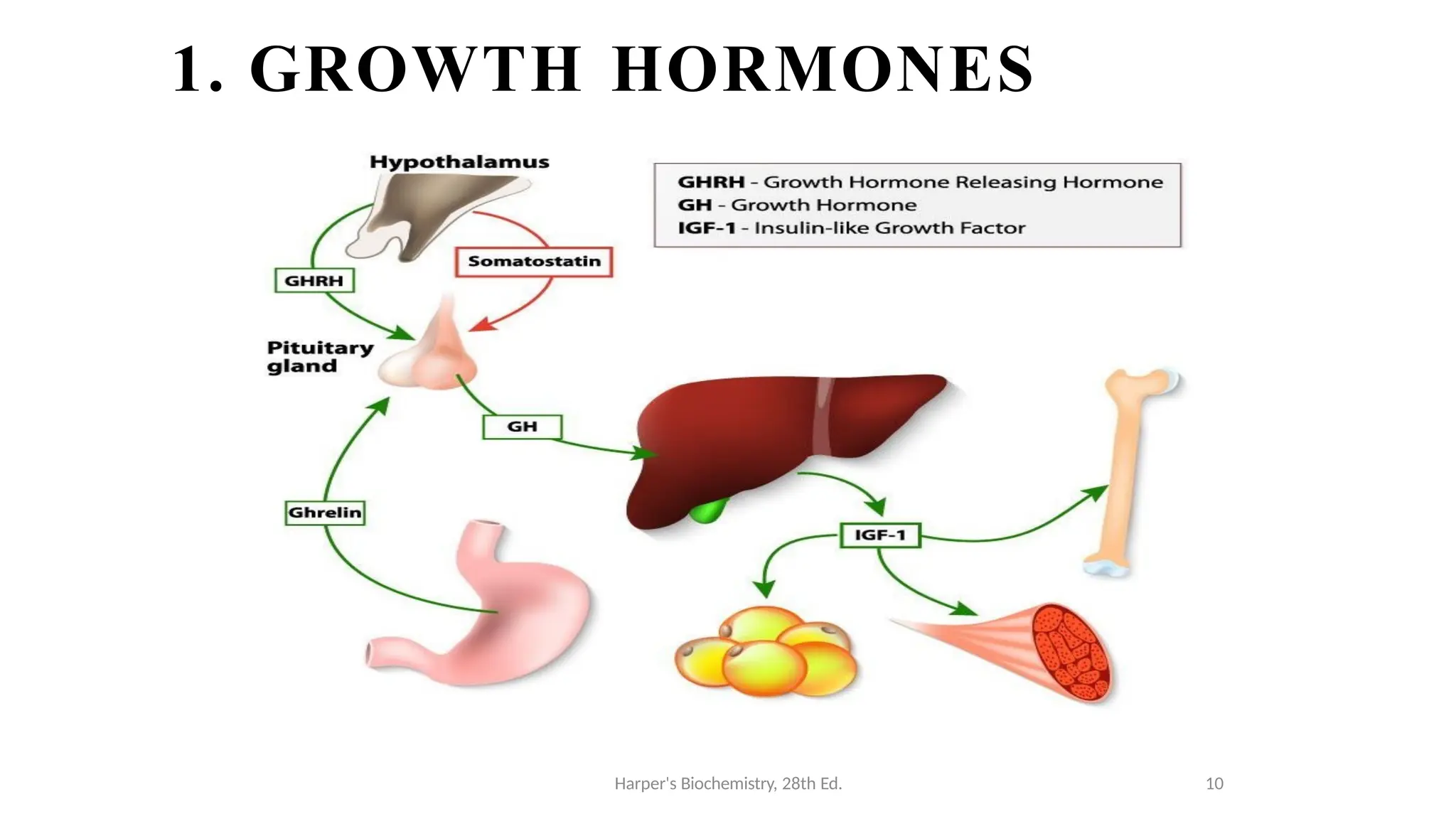 DPT - Biochemistry & Genetics - II (Hormones) Pituitary gland & their ...