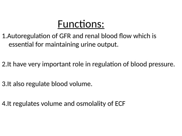 introduction to renal system physiology.pptx