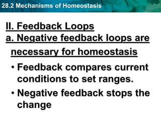 28-2 homeostasis (1).ppt