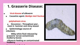 AN ASSIGNMENT ON DISEASES OF SILKWORM.pptx