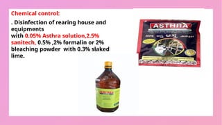 AN ASSIGNMENT ON DISEASES OF SILKWORM.pptx