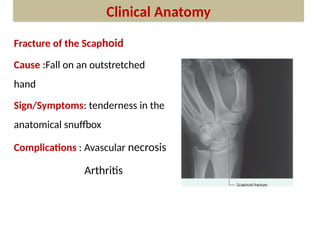 032003-HarshaliPawar--Wristjoint-ppt.pptx