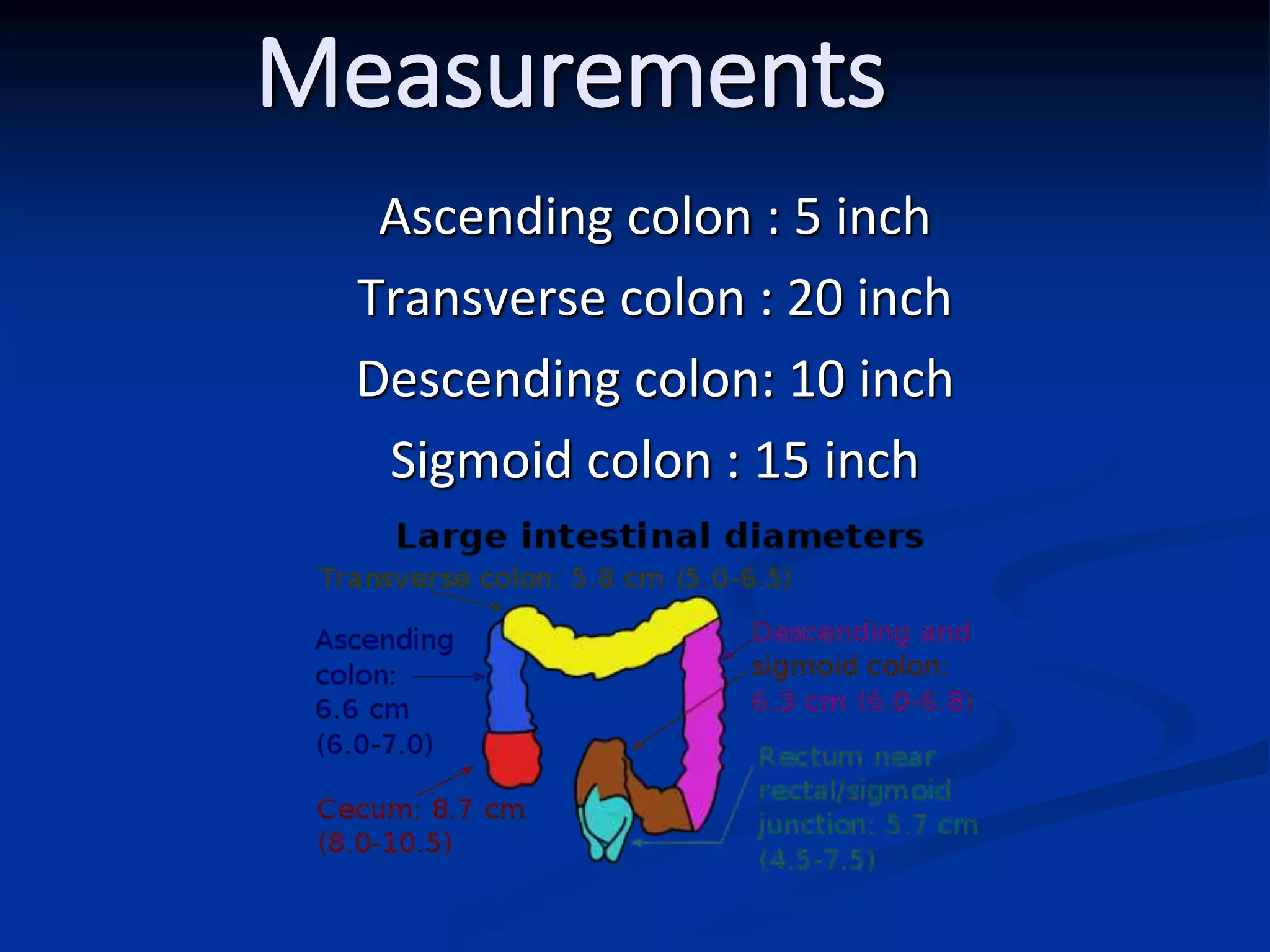 28 - IBD-1.ppt