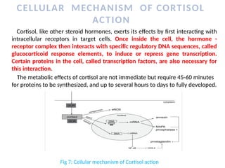 28- Jyotishman Tamuli-301(Z) PPT.pptx biosynthesis and mechanism | PPTX