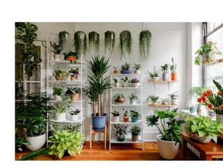 Bring positive energy to your home and lift your mood with Indoor ...