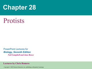 Protists | PPT