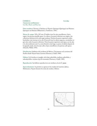 Guia de Aves canoras y de ornato | PDF