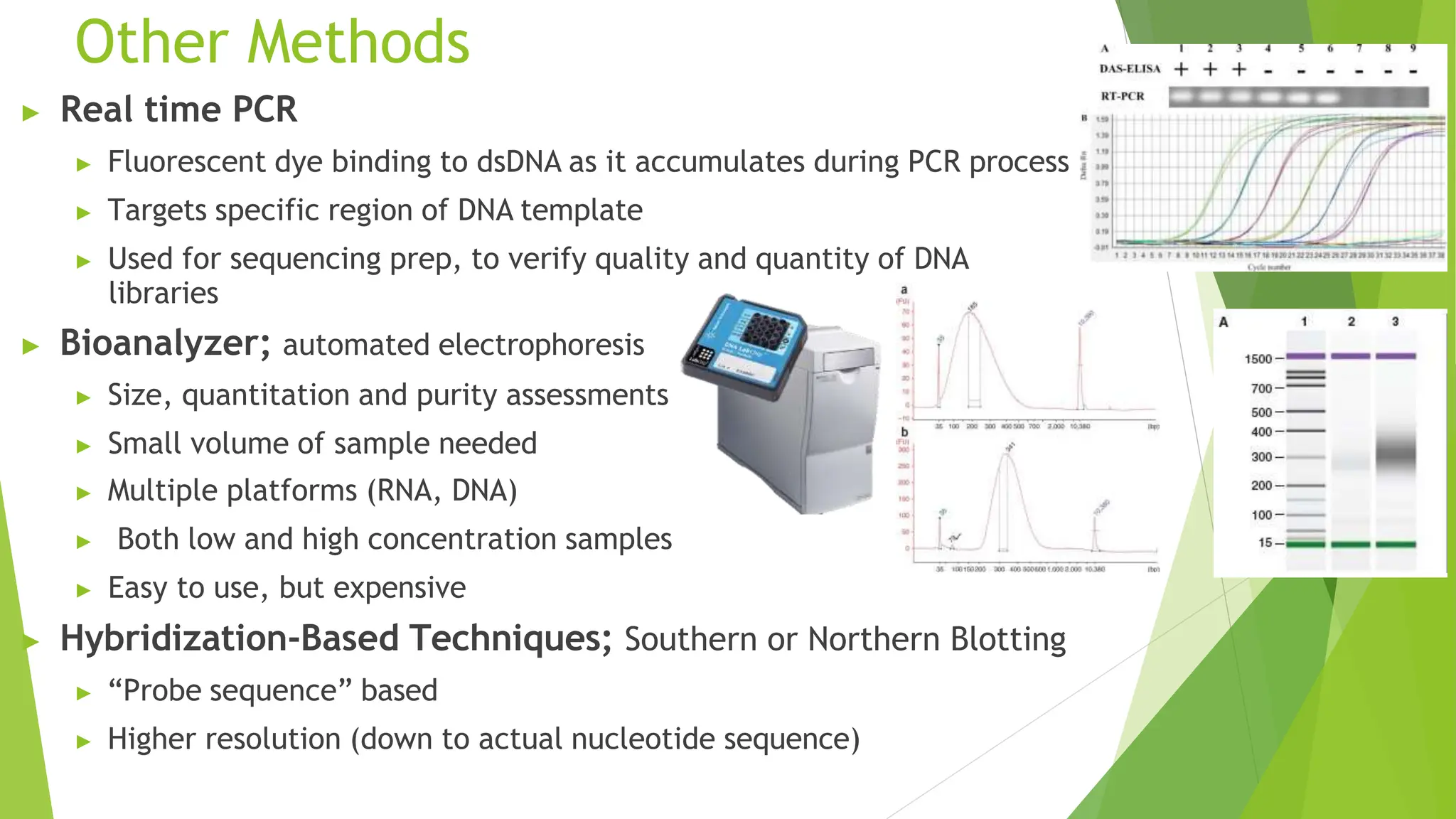 281_DNA quantification and it's importance | PPTX