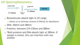 281_DNA quantification and it's importance | PPTX