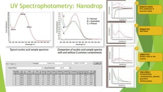 281_DNA quantification and it's importance | PPTX