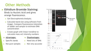 281_DNA quantification and it's importance | PPTX
