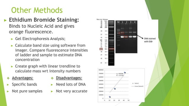 281_DNA quantification and it's importance | PPTX