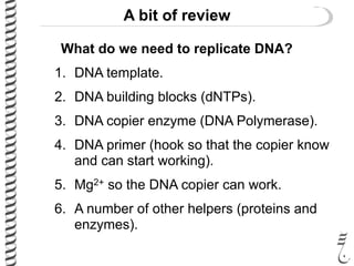 281 lec10 replication_process | PDF | Biological Sciences | Science