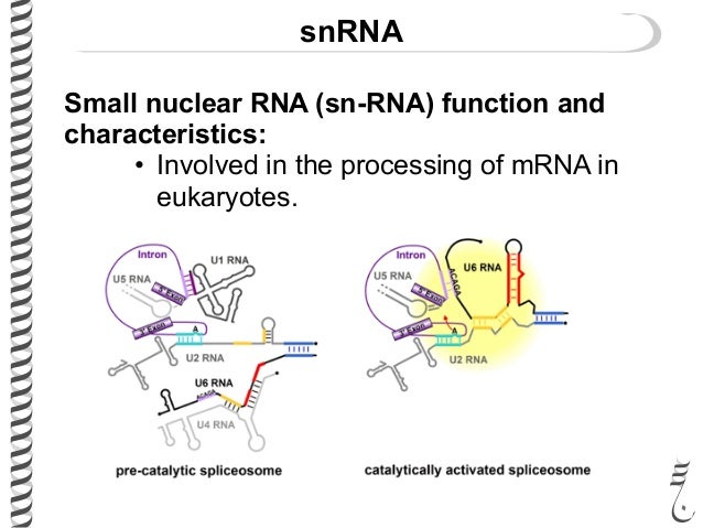 281 lec12 transcription