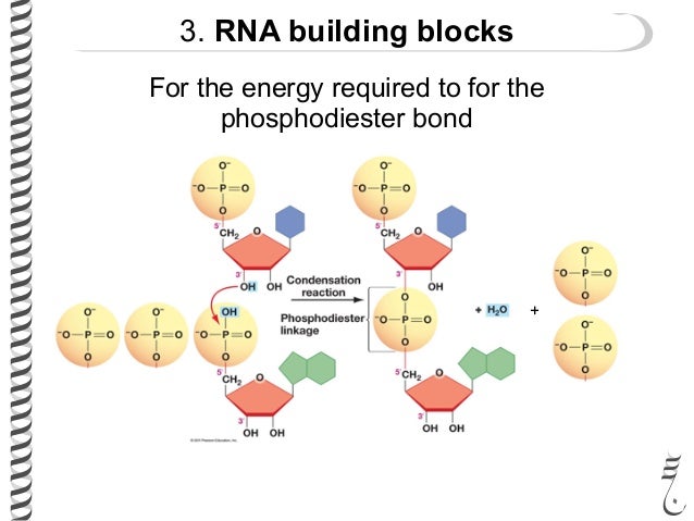 281 lec12 transcription