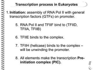 281 lec14 eukaryptic_transcription | PDF