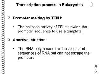 281 lec14 eukaryptic_transcription | PDF