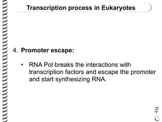 281 lec14 eukaryptic_transcription | PDF