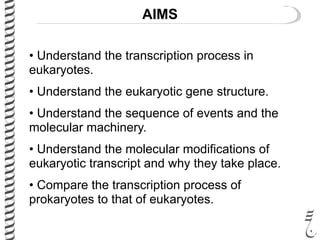 281 lec14 eukaryptic_transcription | PDF