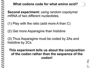 281 lec15 the_geneticcode | PPT