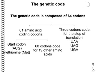 281 lec15 the_geneticcode | PPT