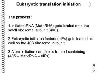 281 lec19 euk_translation | PDF