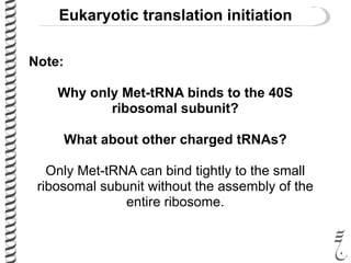281 lec19 euk_translation | PDF