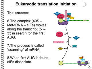 281 lec19 euk_translation | PDF