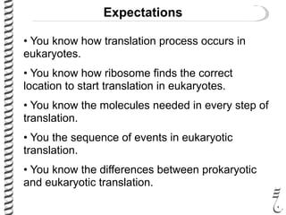281 lec19 euk_translation | PDF