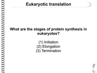 281 lec19 euk_translation | PDF