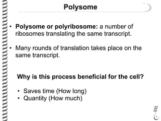 Polysome Poly