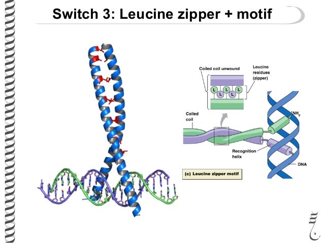 281 lec20 regulation_generalities