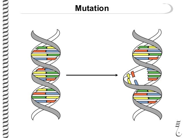 Mutationen