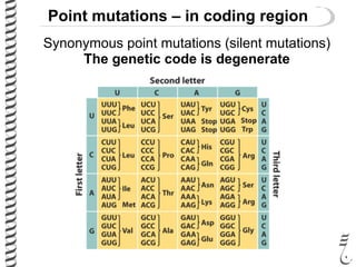 281 lec27 point_mutations | PDF