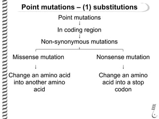 281 lec27 point_mutations | PDF