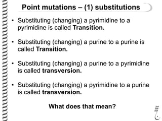 281 lec27 point_mutations | PPT
