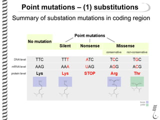 Point Mutation Biology